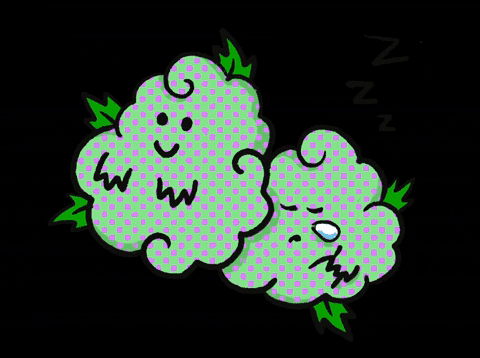 The Different Types of Cannabis Strains and Their Effects - Moja Life